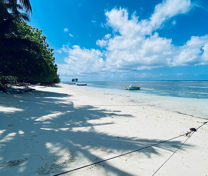 La Digue - Coco de Mahi