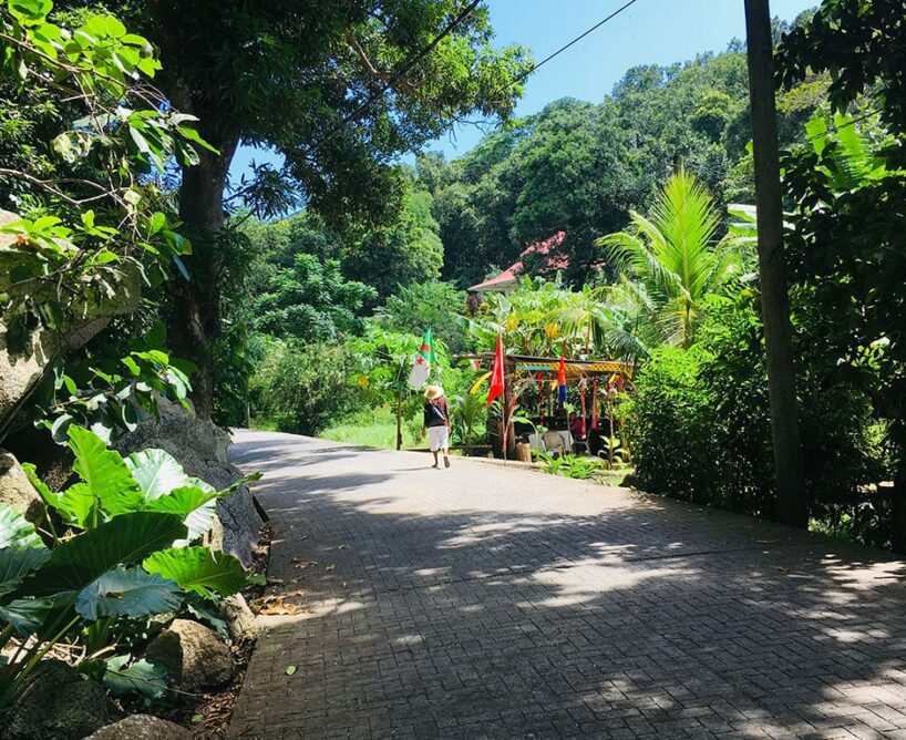 La Digue - Coco de Mahi